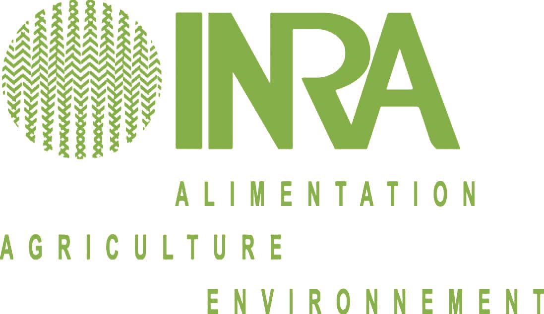 Recherche Corse LES ACTEURS